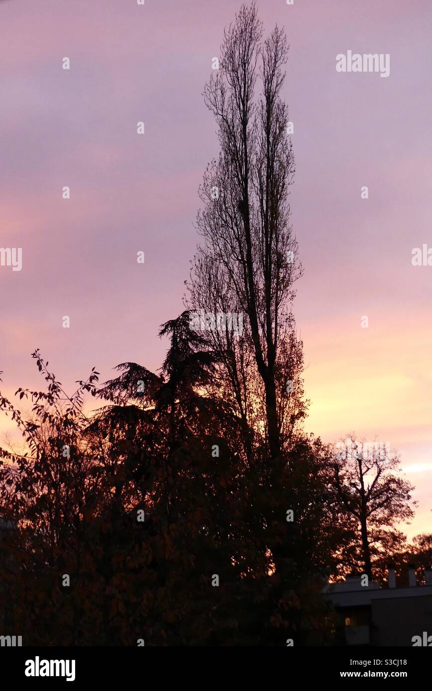 Colorful sunset sky in France Stock Photo - Alamy