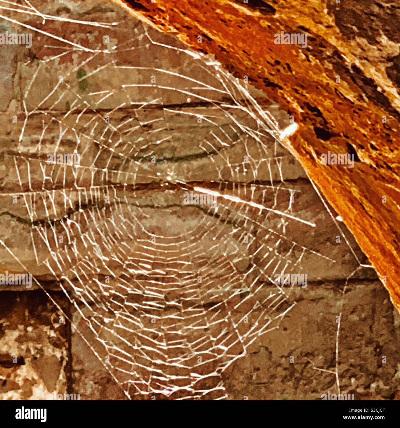 Spiderweb wall hi-res stock photography and images - Alamy