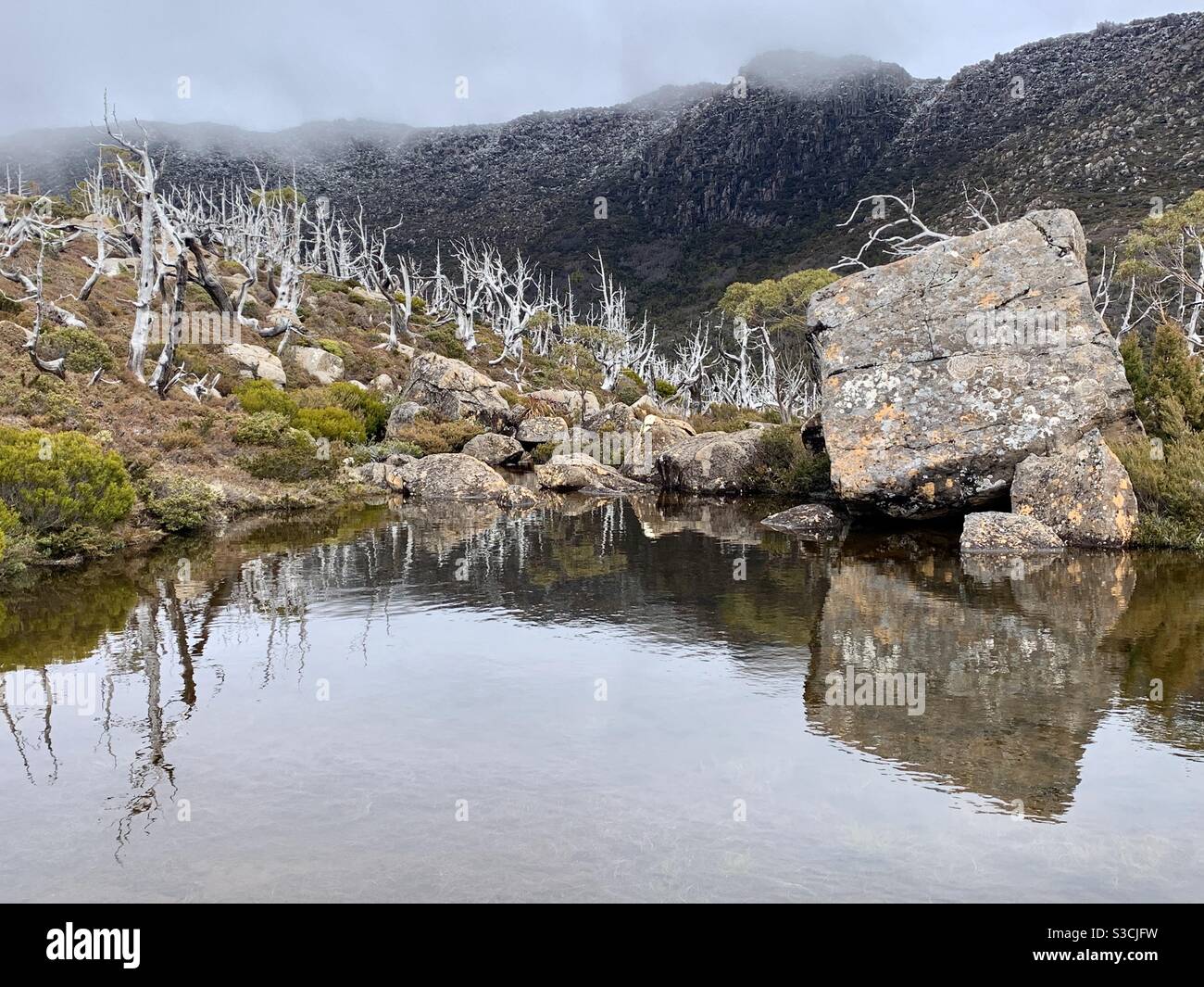 Mount field hi-res stock photography and images - Alamy