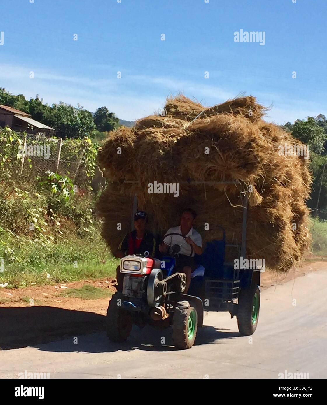 Farmer with a very overloaded tractor with hay Myanmar Stock Photo - Alamy