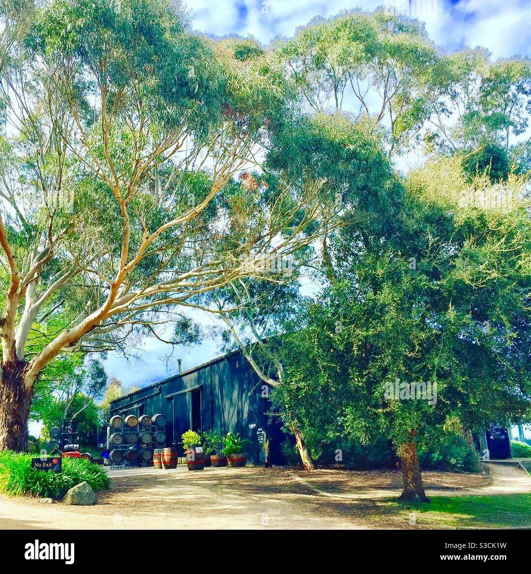 Mornington peninsula vineyard hi-res stock photography and images - Alamy