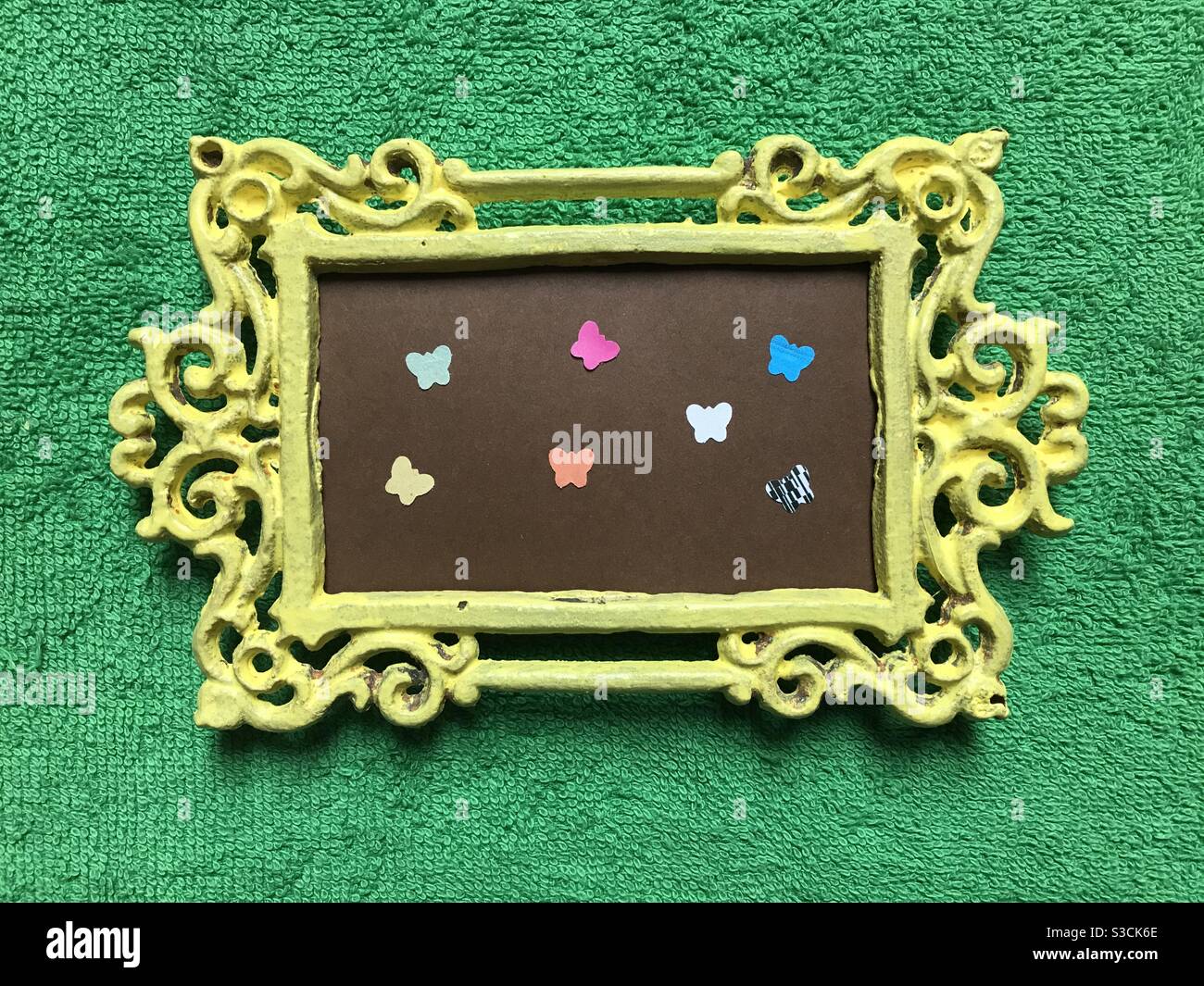 Framed butterflies hi-res stock photography and images - Alamy