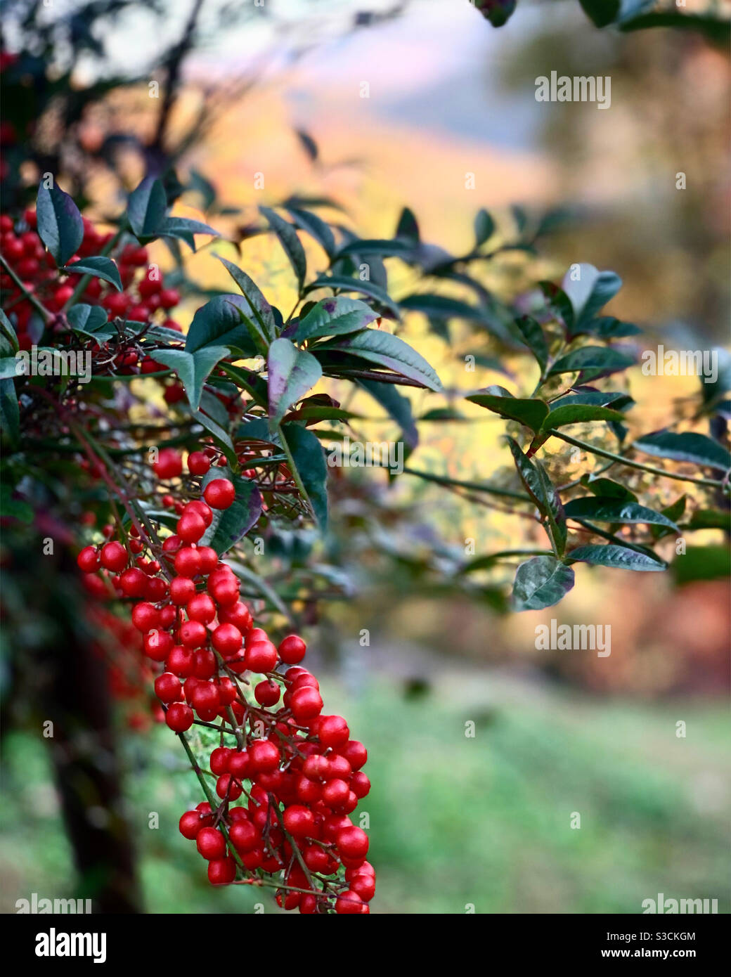 Smoky red hi-res stock photography and images - Alamy