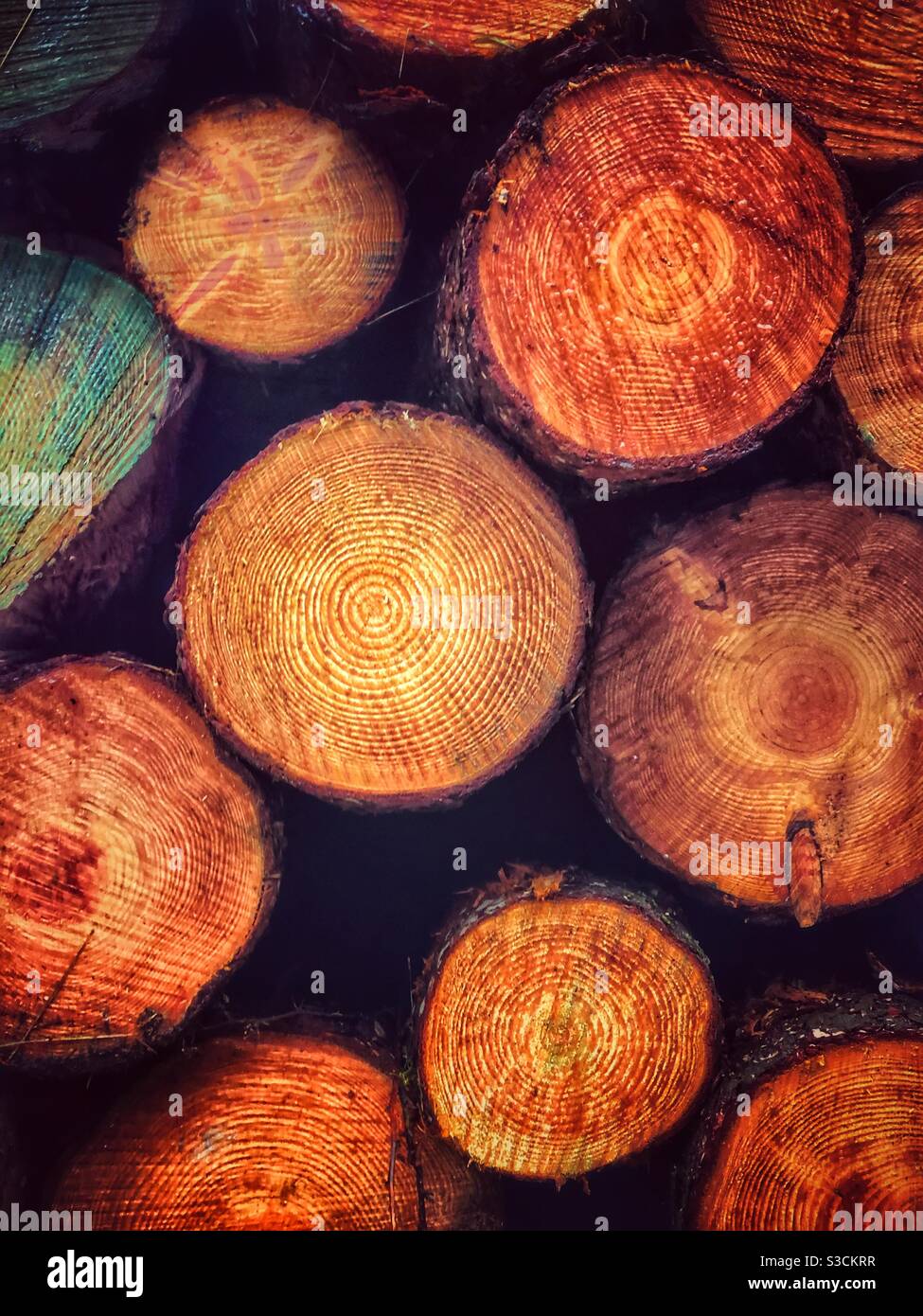 Chopped wood hi-res stock photography and images - Alamy