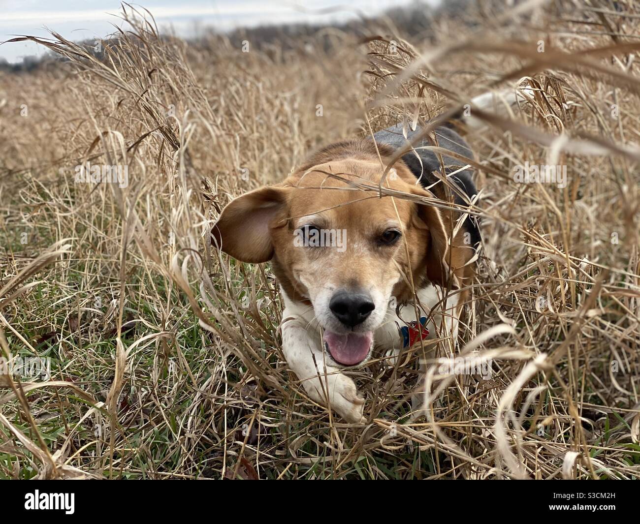 Motion tracking hi-res stock photography and images - Alamy