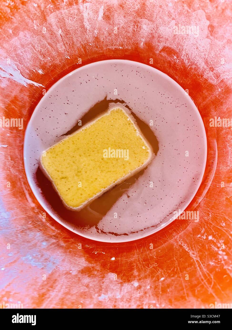 Drywall sponge in an orange bucket Stock Photo - Alamy