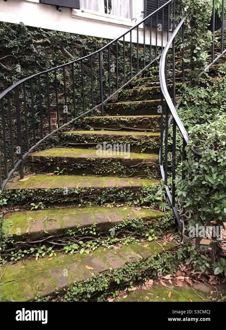 Savannah historic steps hi-res stock photography and images - Alamy