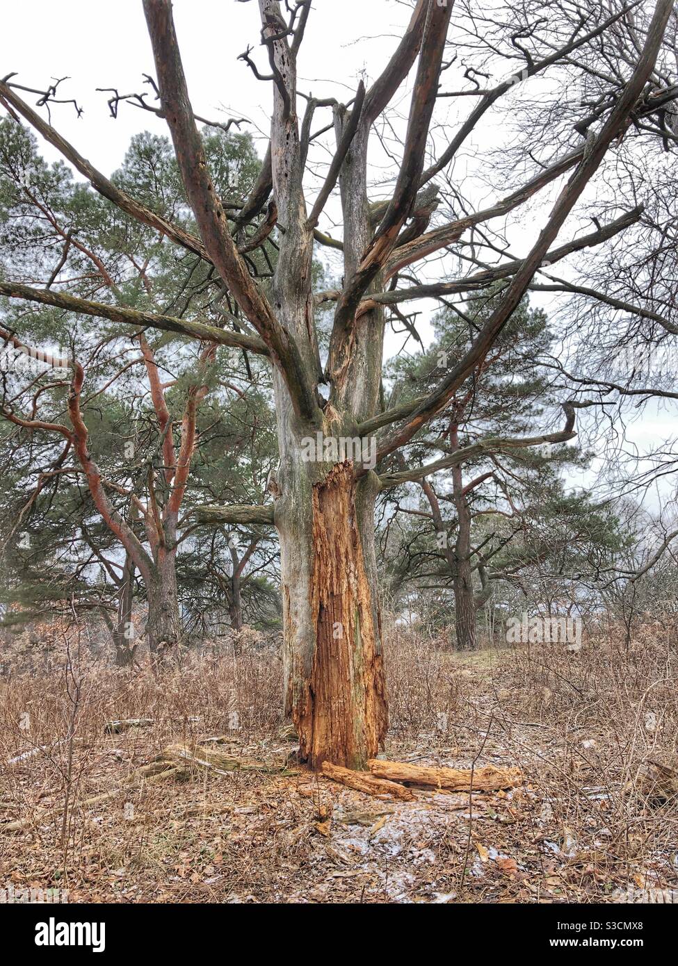 Stark landscape hi-res stock photography and images - Alamy