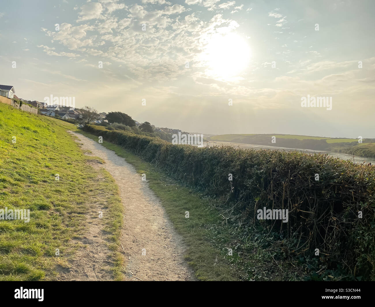 Hedge pathway hi-res stock photography and images - Alamy