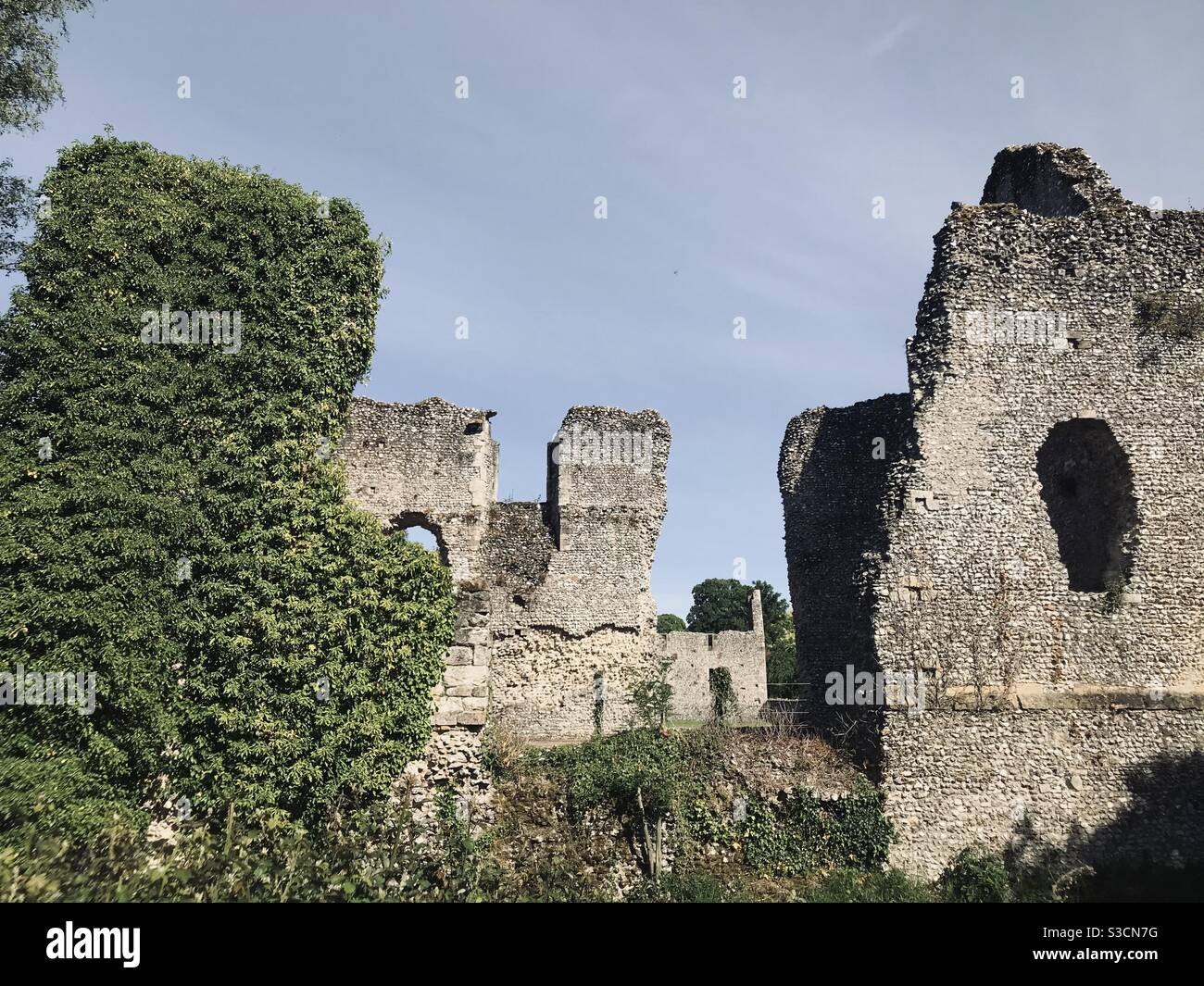Abandoned ruins vines hi-res stock photography and images - Alamy