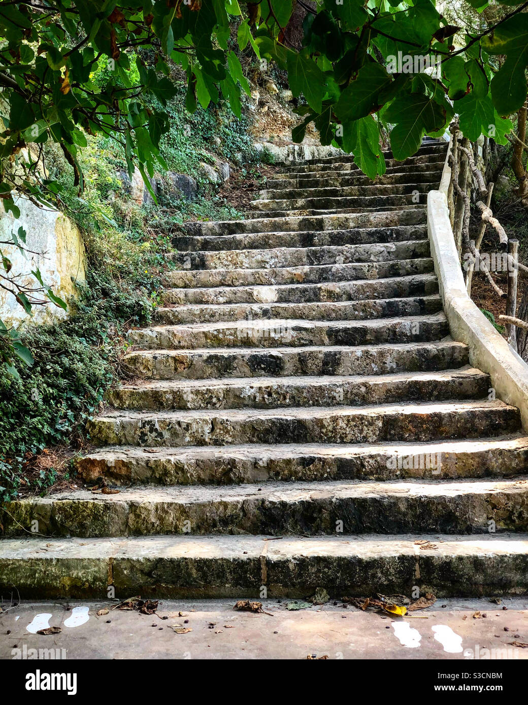 Nature stairs hi-res stock photography and images - Alamy