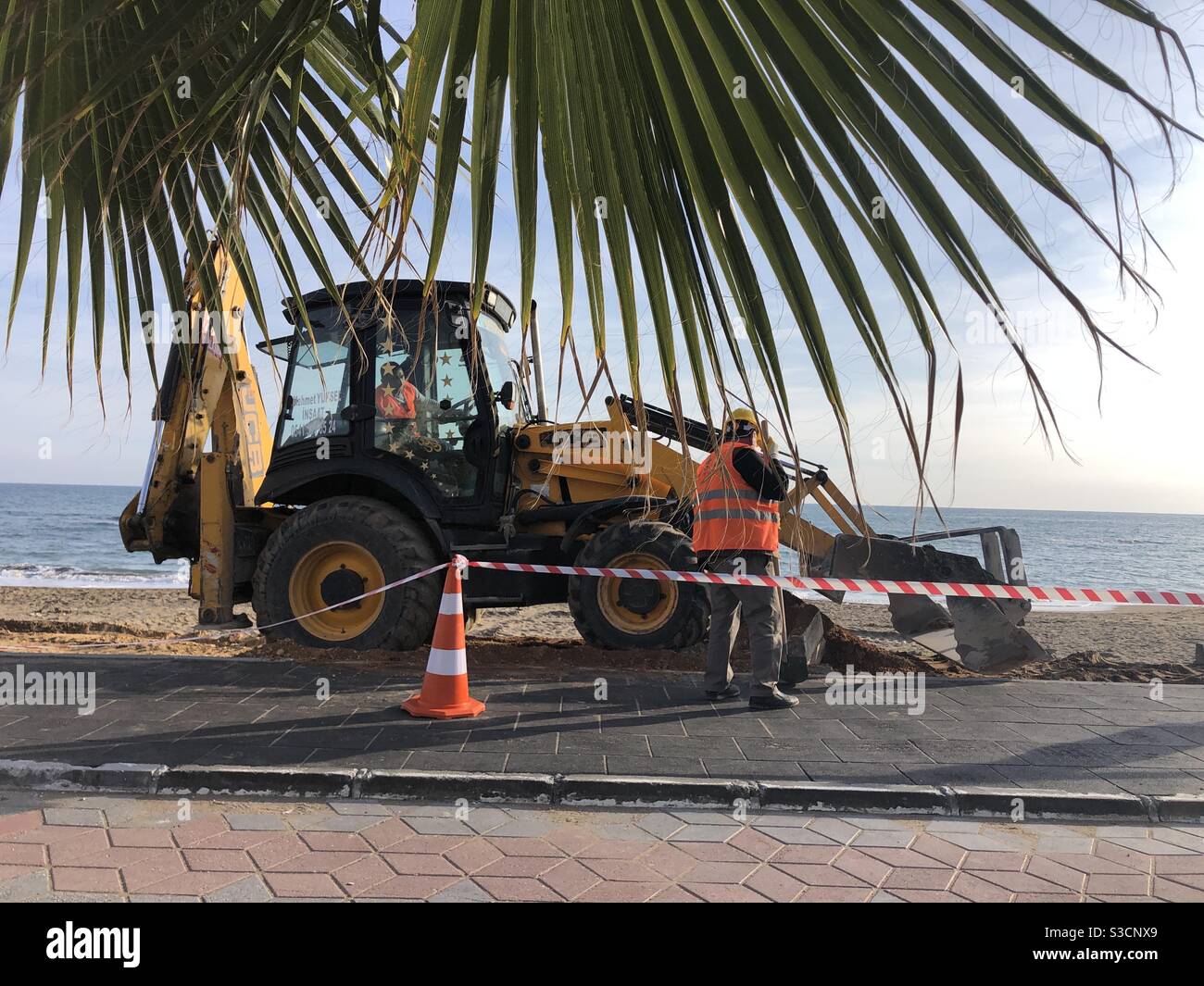 Construction workers and an excavator photographed behind a palm tree ...