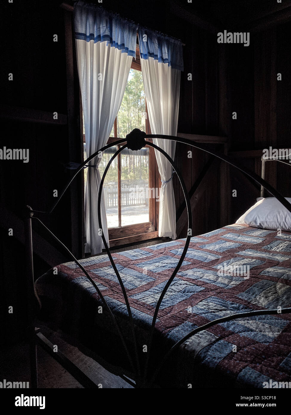 Swamp bed hi-res stock photography and images - Alamy