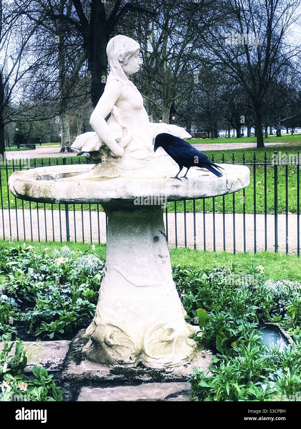 Lone bird hi-res stock photography and images - Alamy