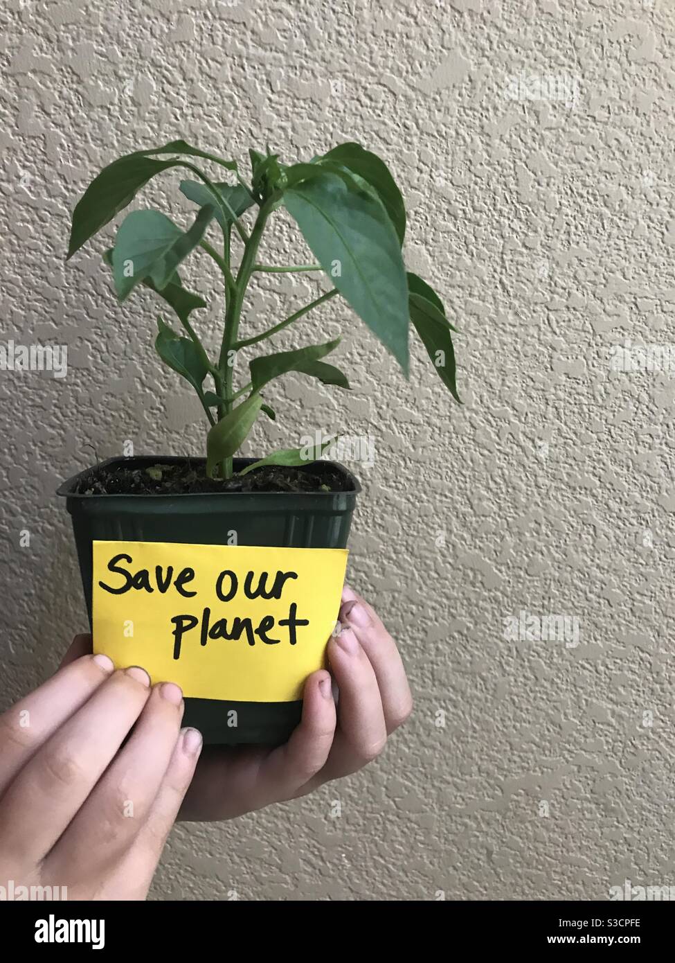 Plants- holding a potted plant, save our planet - world peace and eco ...