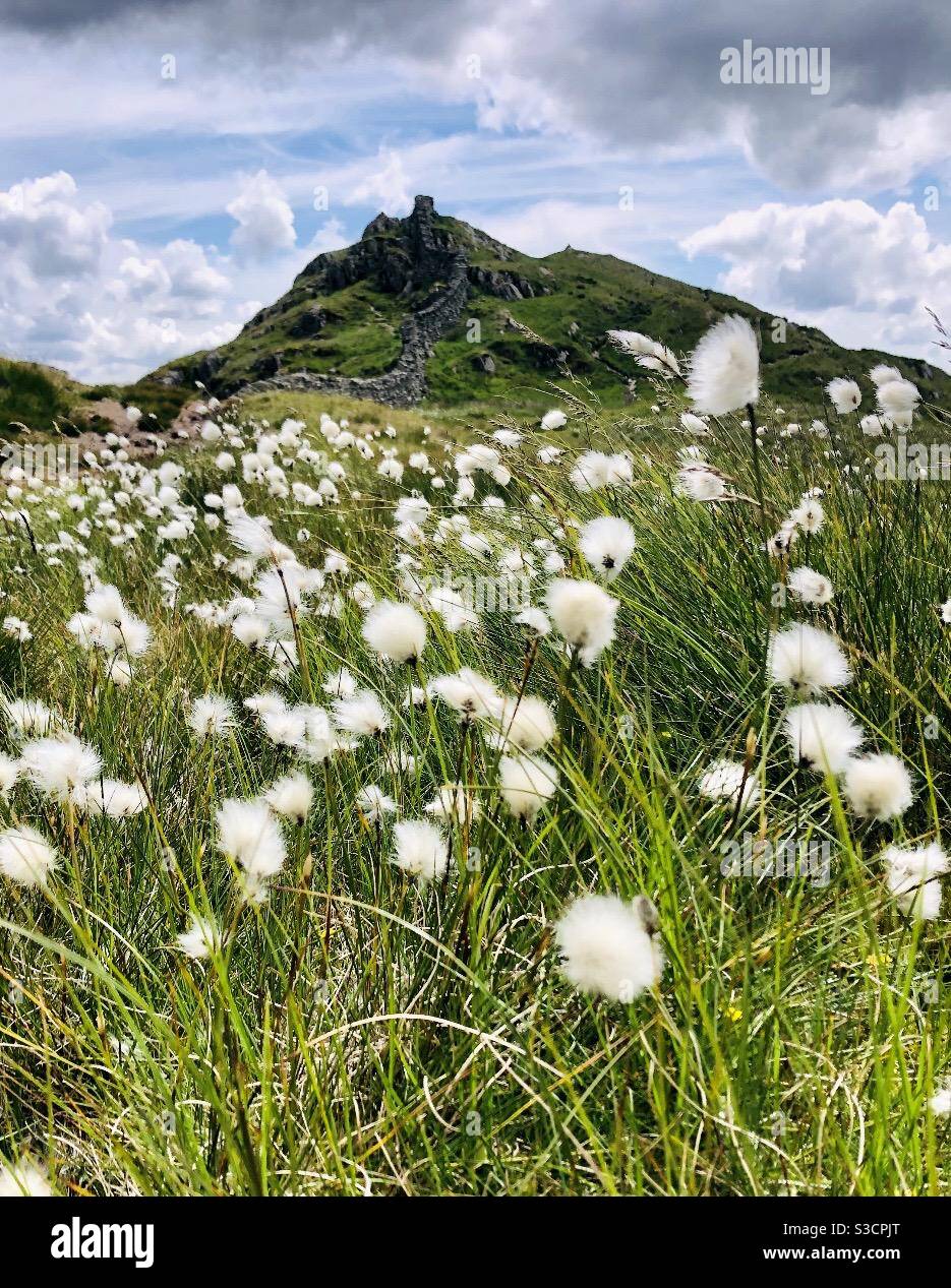 Fluffy hills hi-res stock photography and images - Alamy