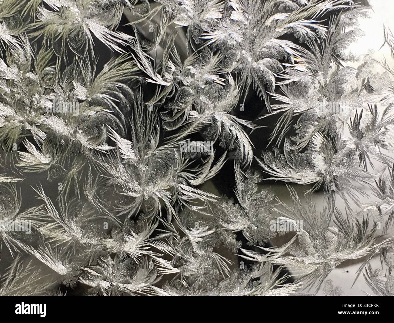 Frost flowers on a window Stock Photo - Alamy