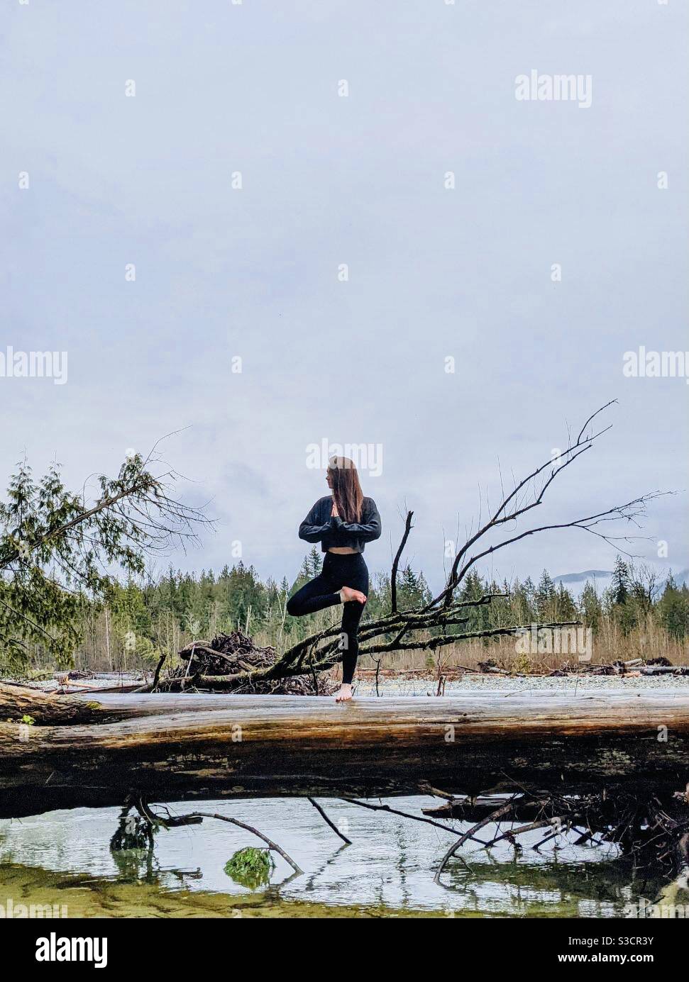 Chehalis river hi-res stock photography and images - Alamy