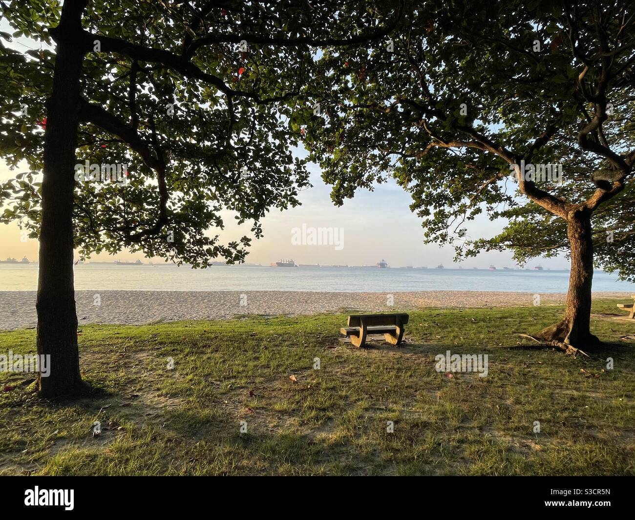 Lonely bench hi-res stock photography and images - Alamy