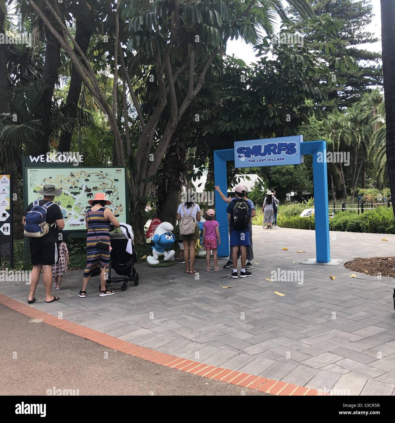 Smurf hunting at Perth Zoo, Western Australia Stock Photo - Alamy