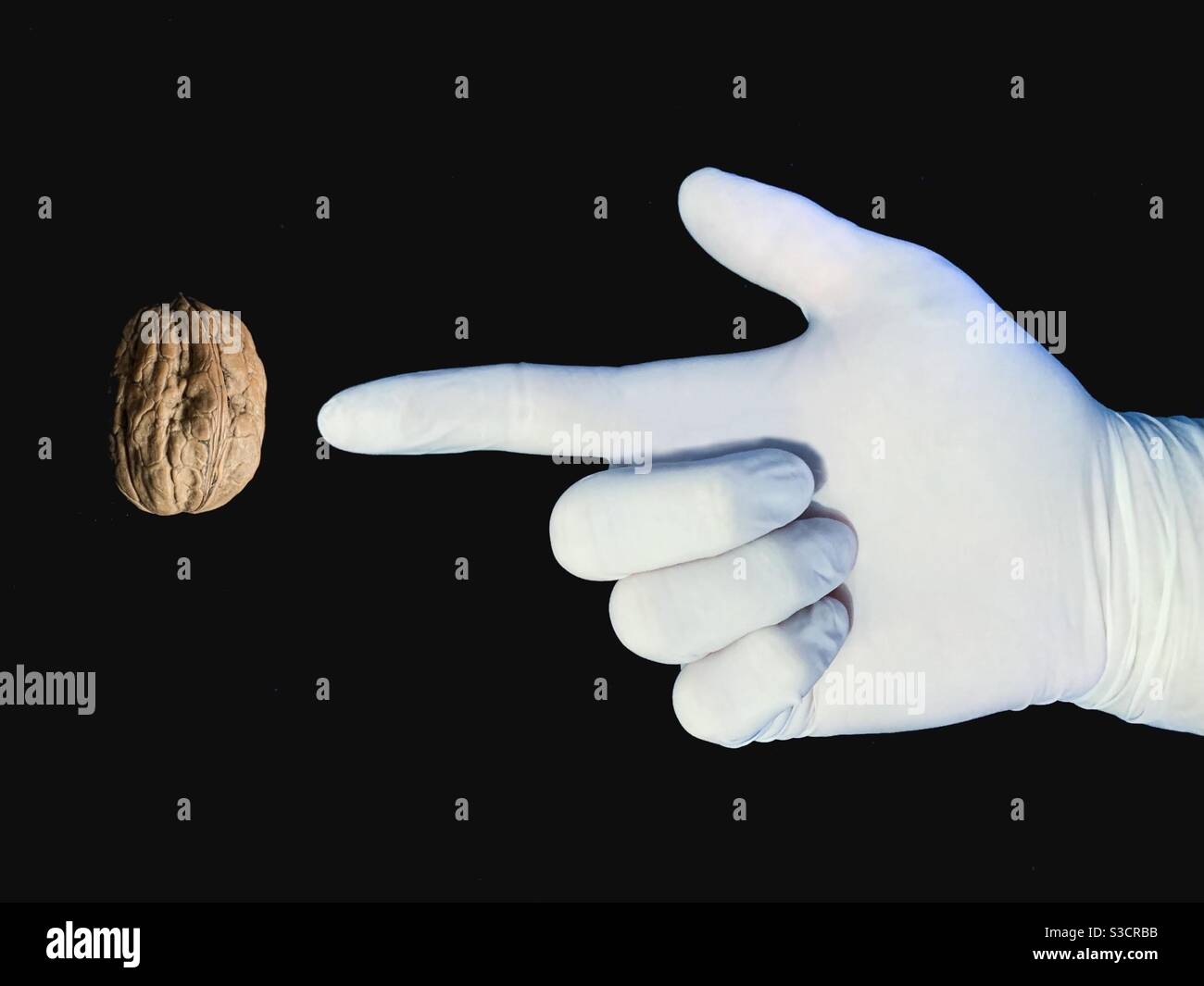 Prostate size of walnut hi-res stock photography and images - Alamy
