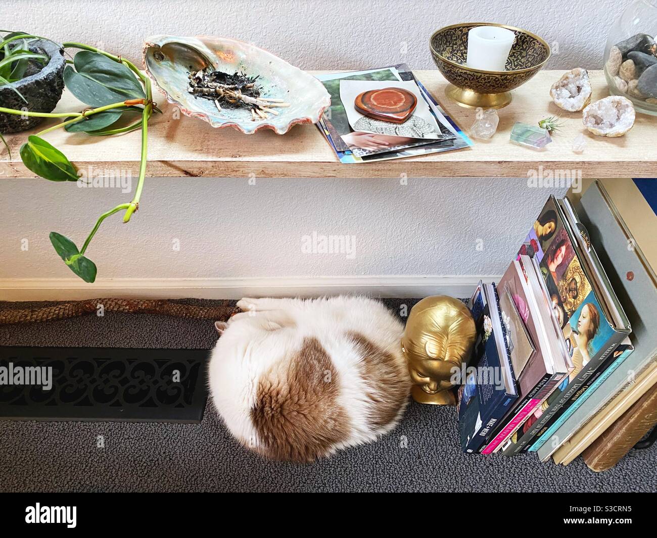 Sleeping funny not animal hi-res stock photography and images - Alamy