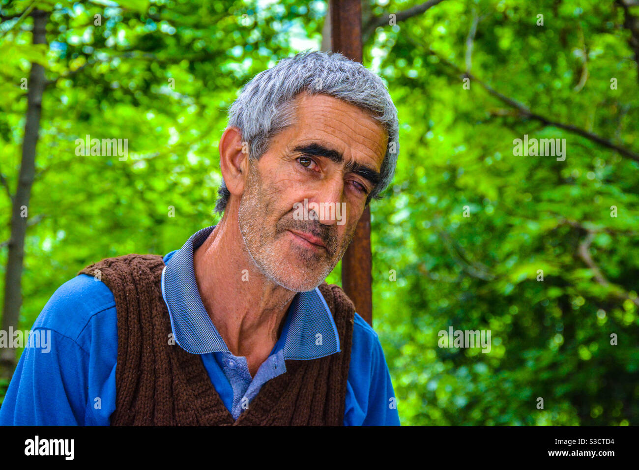 Forcest hi-res stock photography and images - Alamy