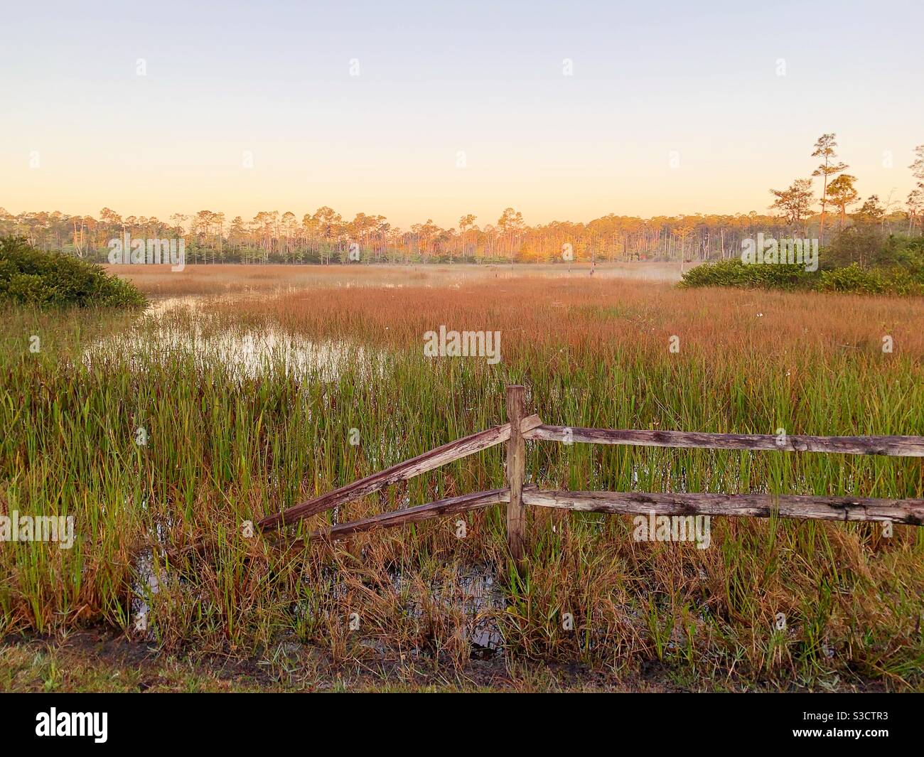 Wetlands trail hi-res stock photography and images - Alamy