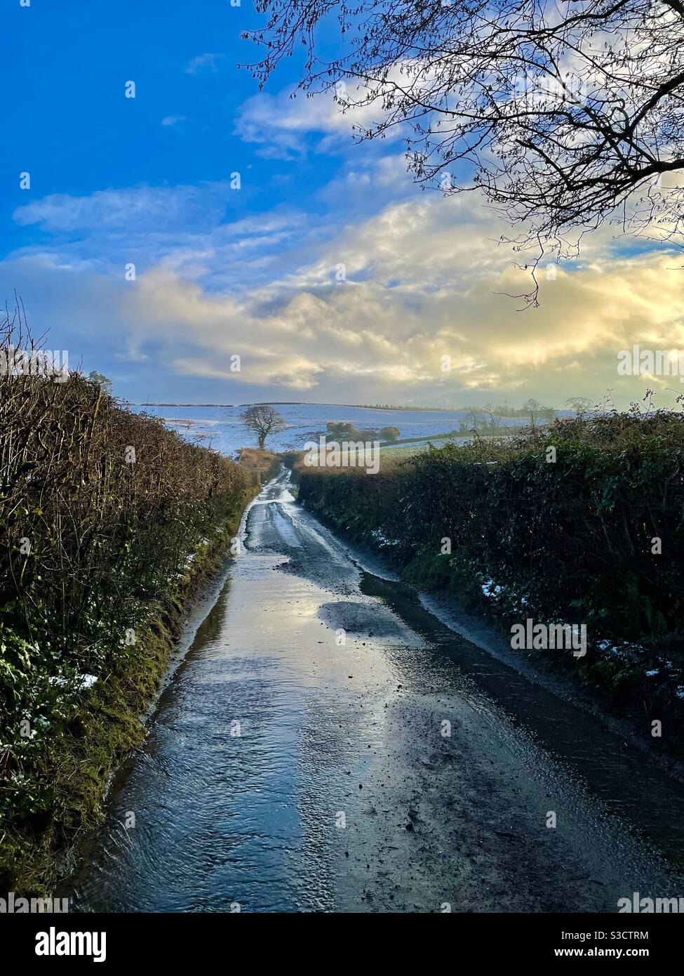 Country lane hi-res stock photography and images - Alamy