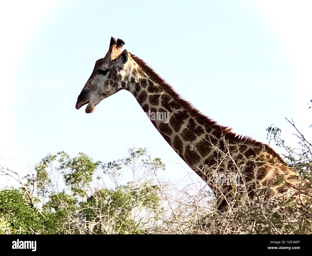 Half Picture High Resolution Stock Photography and Images - Alamy