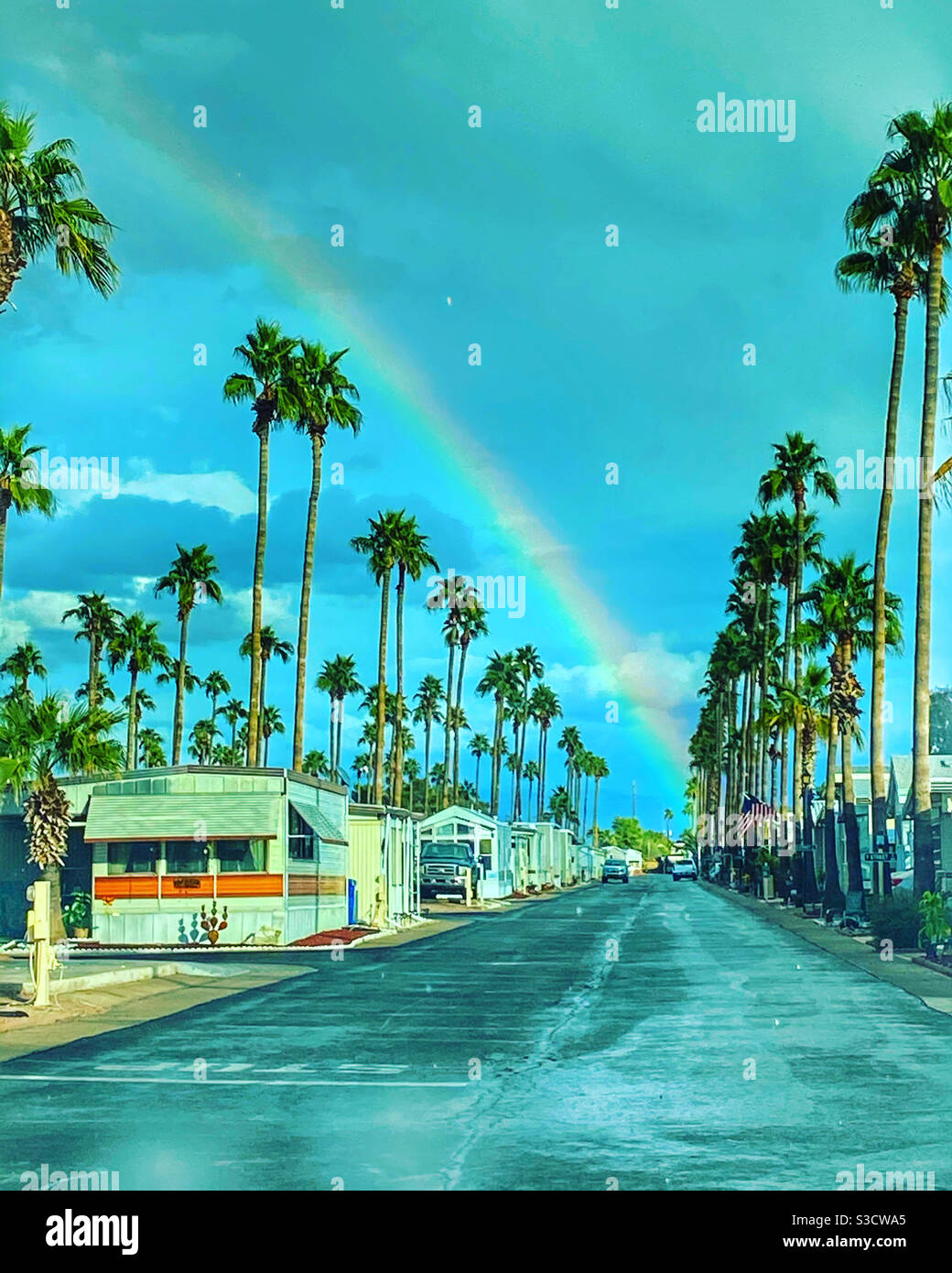 Sunset over palm trees Stock Photo - Alamy