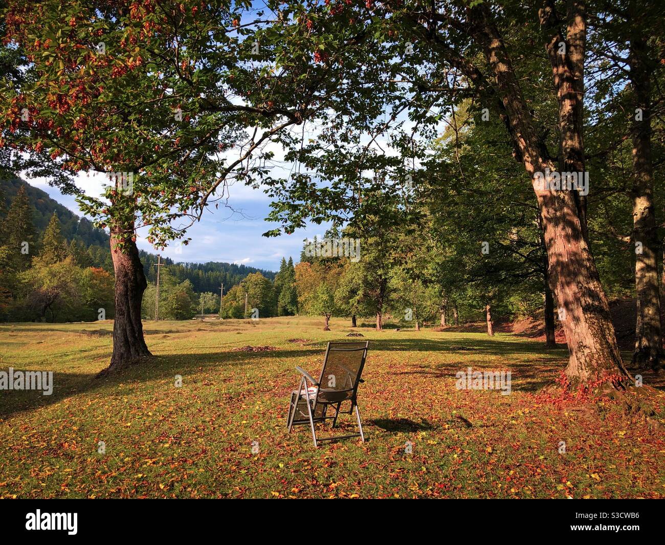 Empty chiar hi-res stock photography and images - Alamy