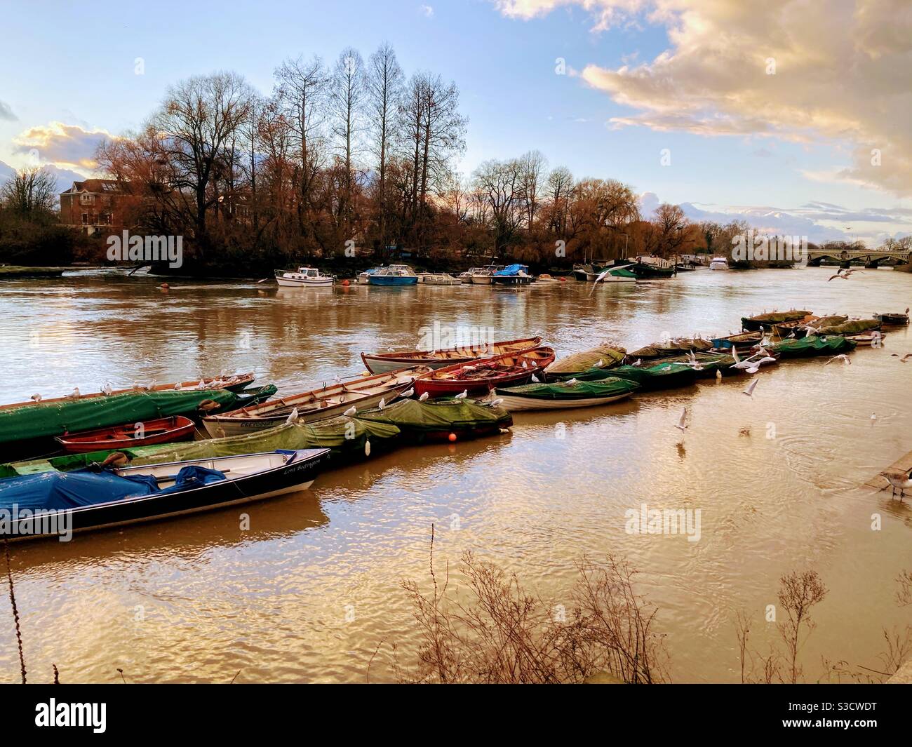 Thames rowing boats hi-res stock photography and images - Alamy