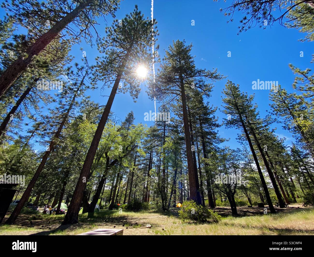 Bear camp hi-res stock photography and images - Alamy
