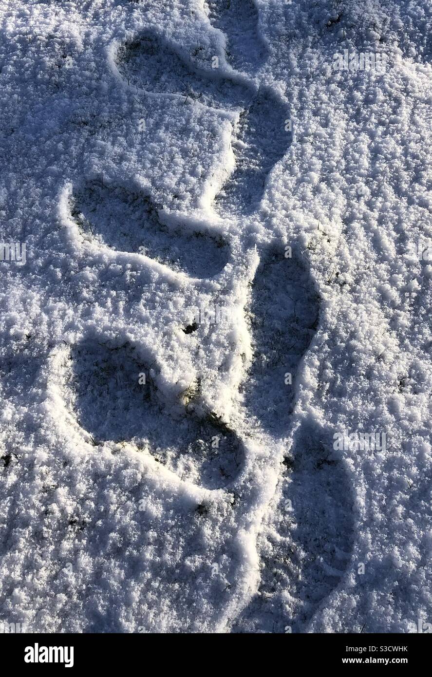 Foot prints in the snow hi-res stock photography and images - Alamy