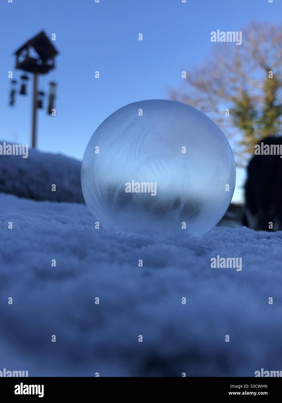 Ice bubble hi-res stock photography and images - Alamy