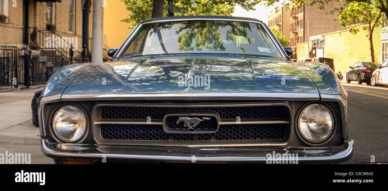 Collectible Ford Mustang front Stock Photo - Alamy