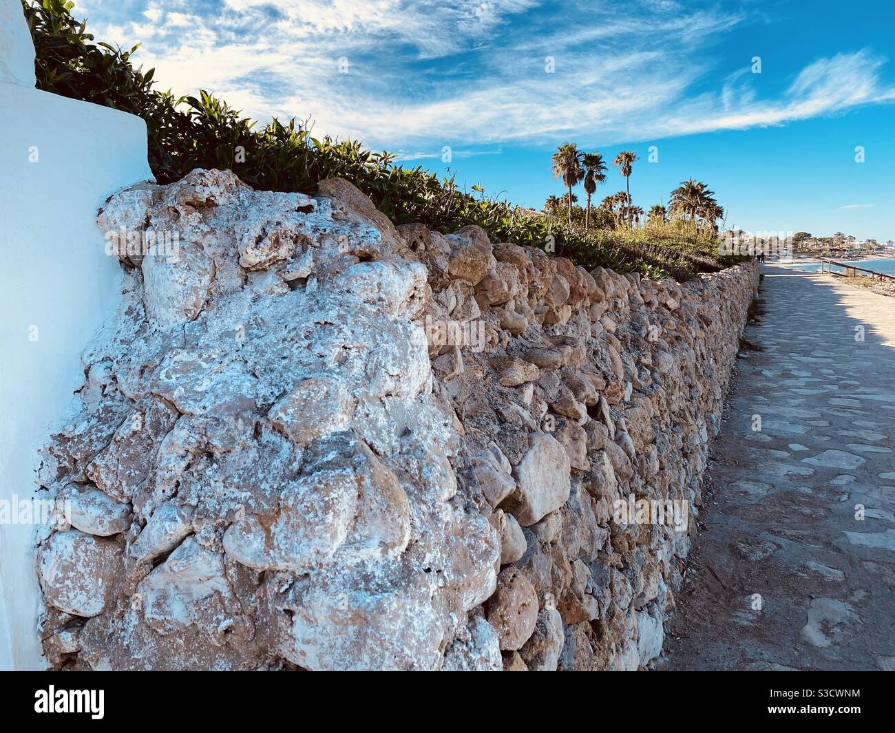 Stone wall by the beach with blue sky and palm trees in the background ...