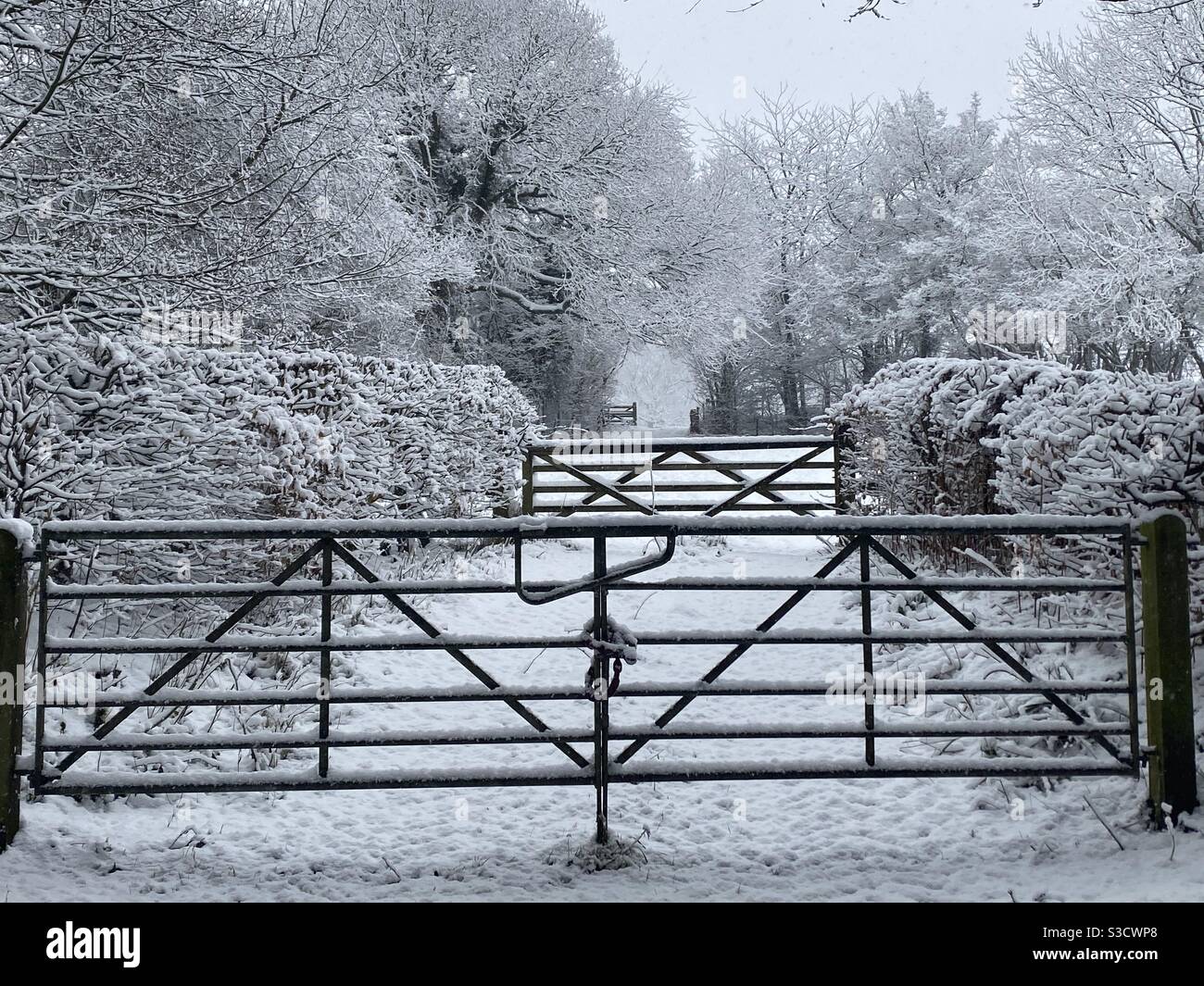 White gates hi-res stock photography and images - Alamy