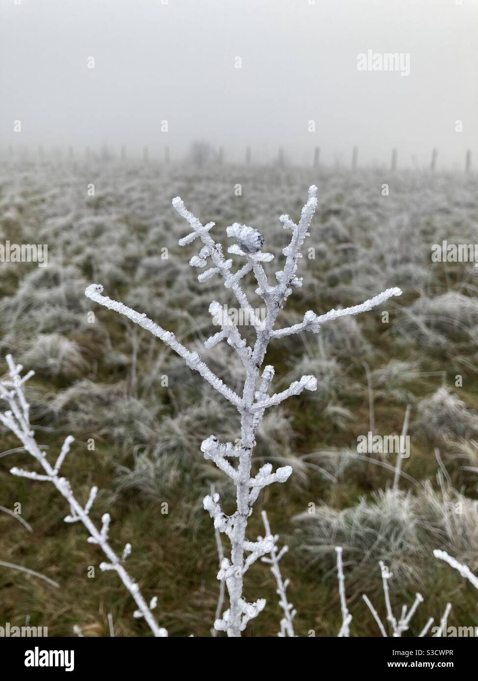 Frozen field hi-res stock photography and images - Alamy
