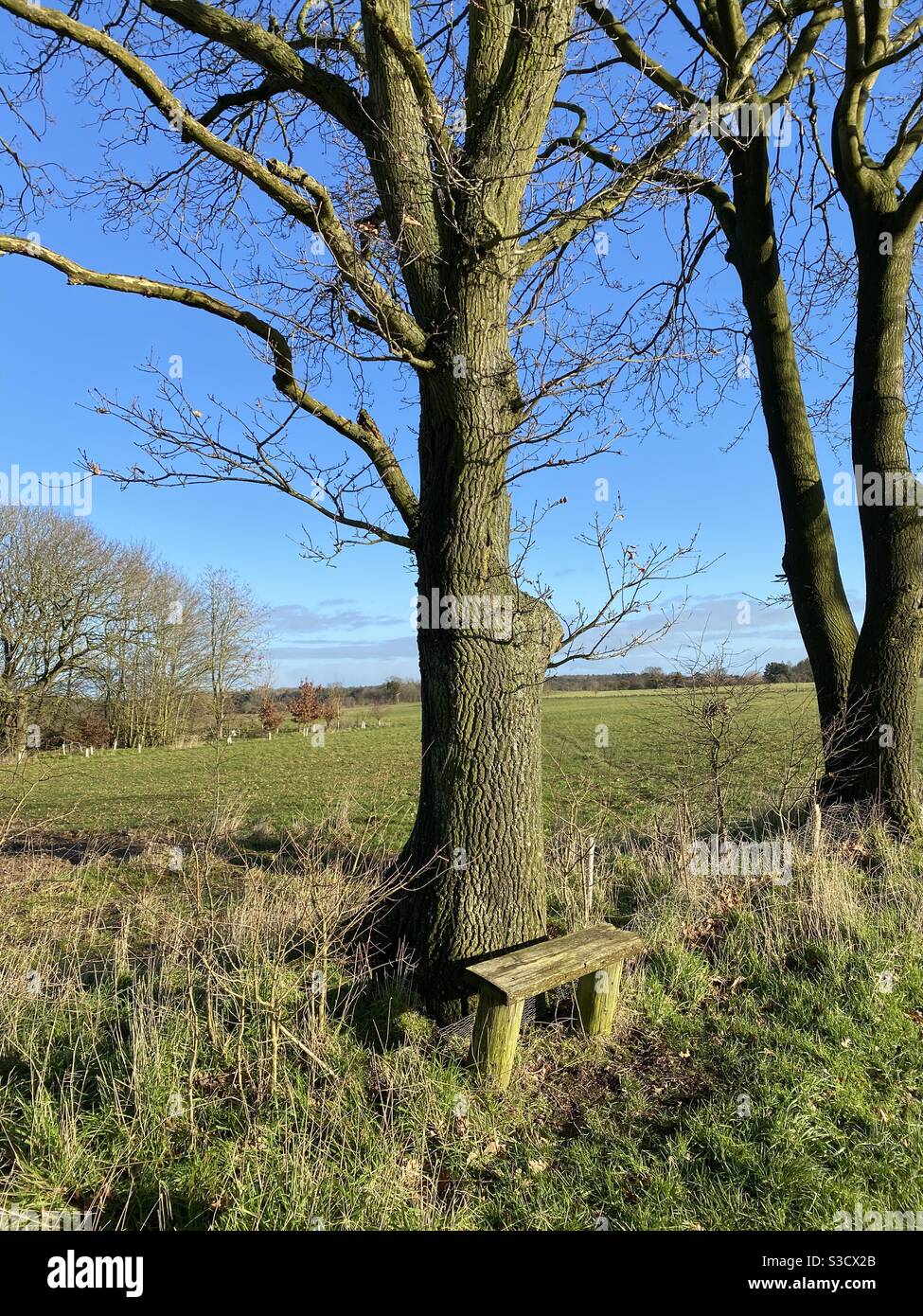 Norfolk countryside bench Stock Photo - Alamy