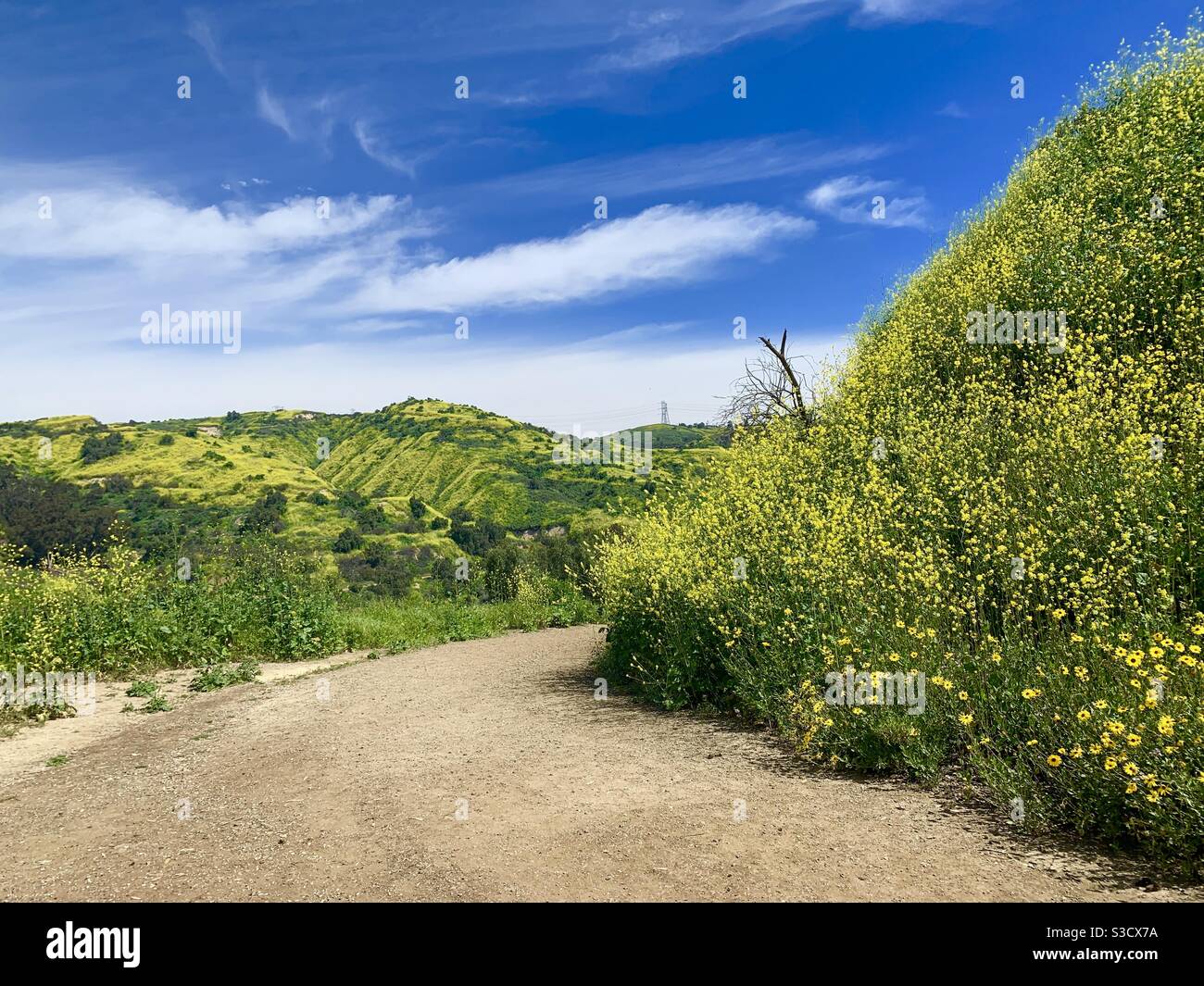 Whittier park hi-res stock photography and images - Alamy
