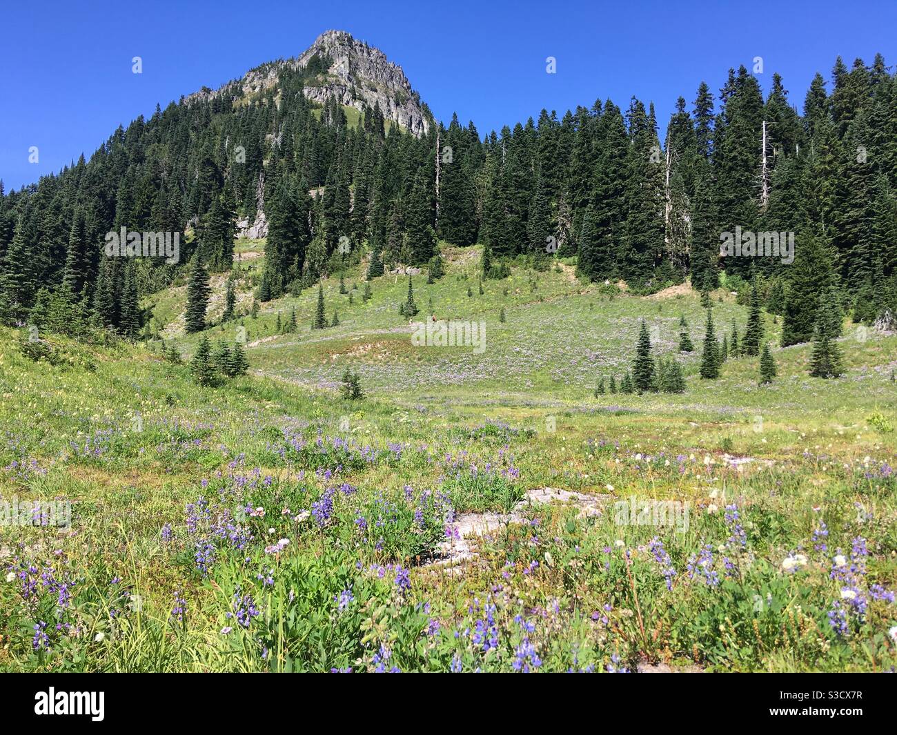 Yakima Peak High Resolution Stock Photography and Images - Alamy