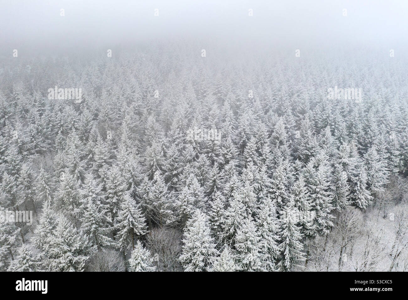 Snow forest of dean hi-res stock photography and images - Alamy