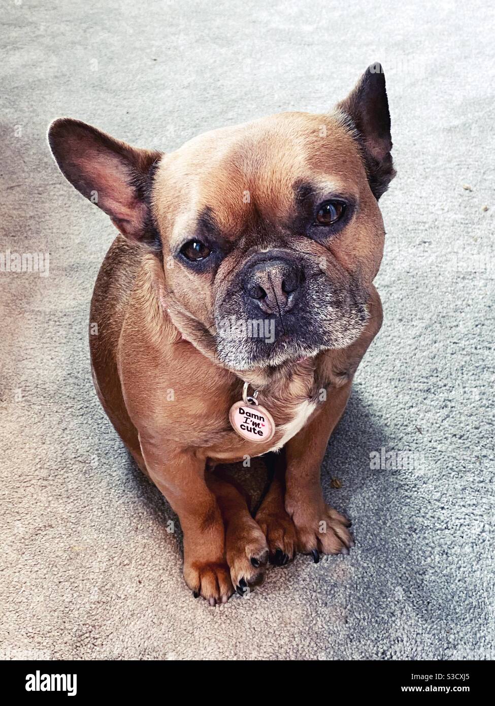 Sitting awkwardly hi-res stock photography and images - Alamy