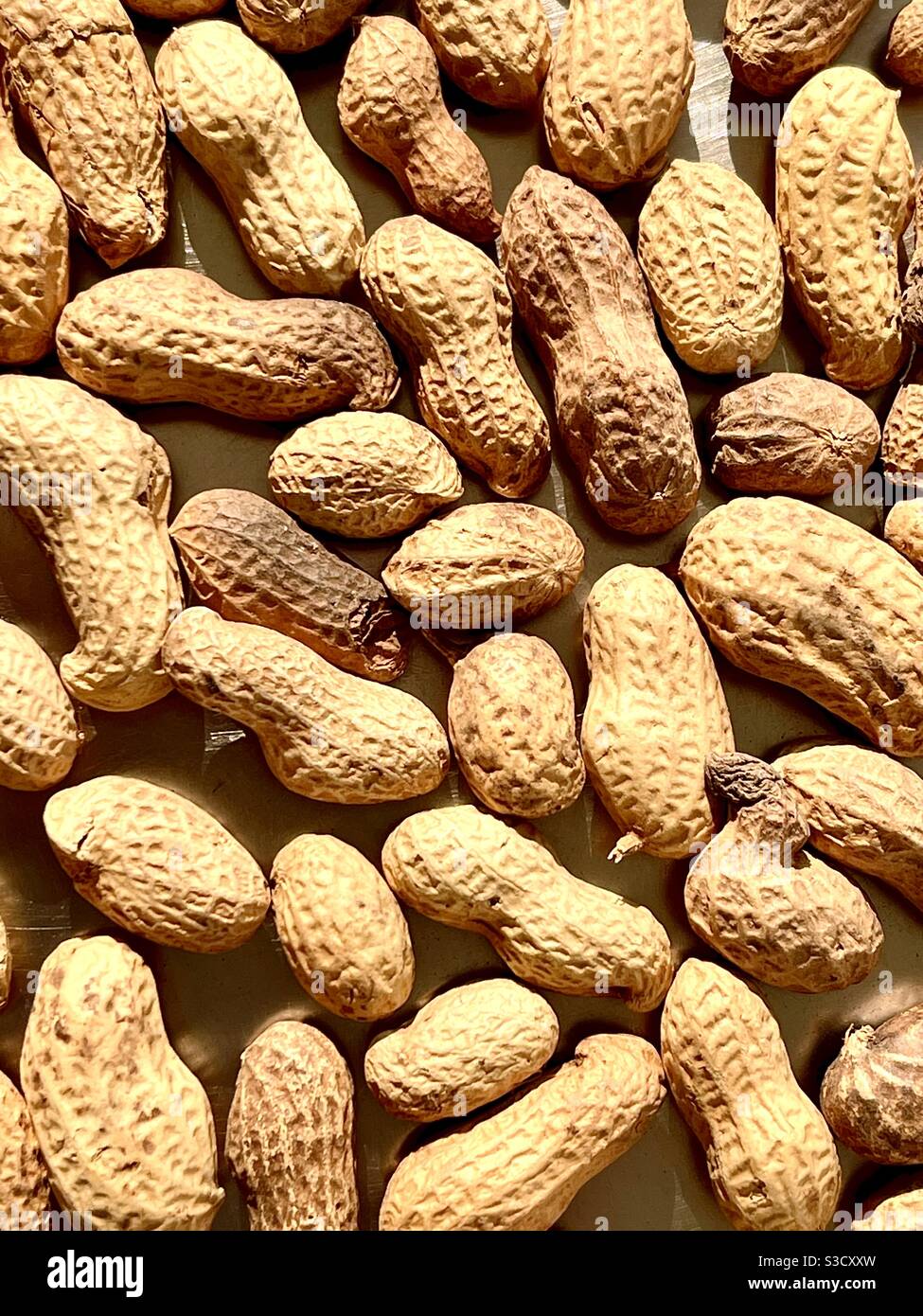 Healthy india hi-res stock photography and images - Alamy