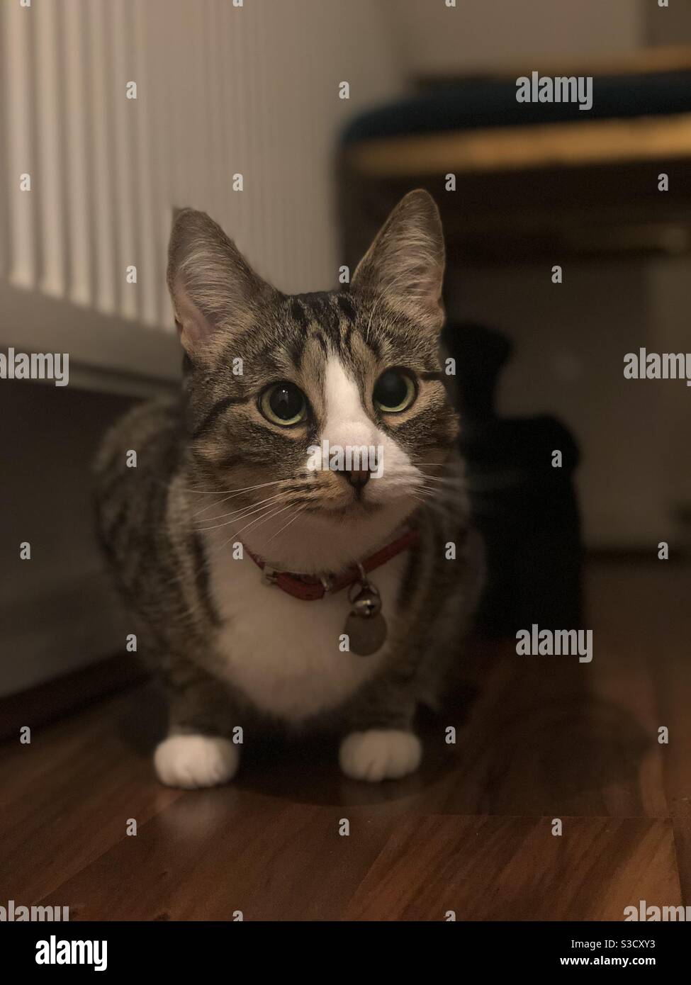 Crouching on floor hi-res stock photography and images - Alamy