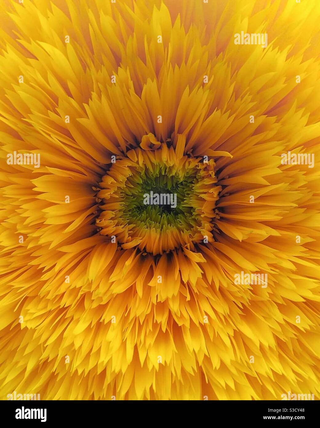 Simetric hi-res stock photography and images - Alamy