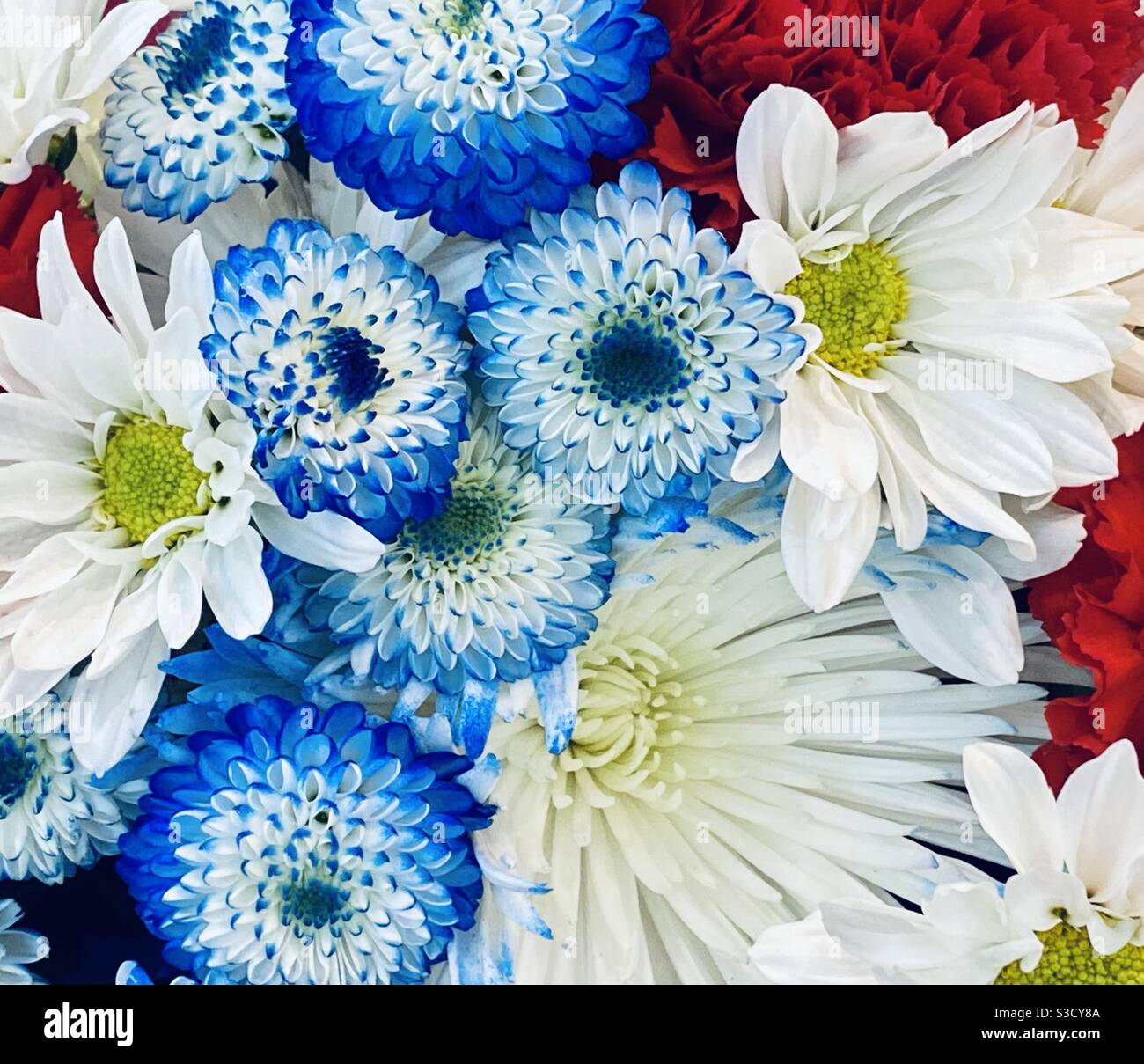 Mixed variety flowers hi-res stock photography and images - Alamy