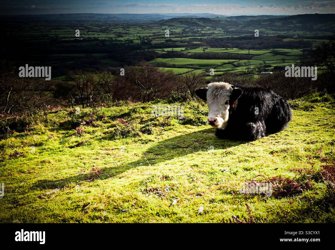 Far reaching landscape views hi-res stock photography and images - Alamy
